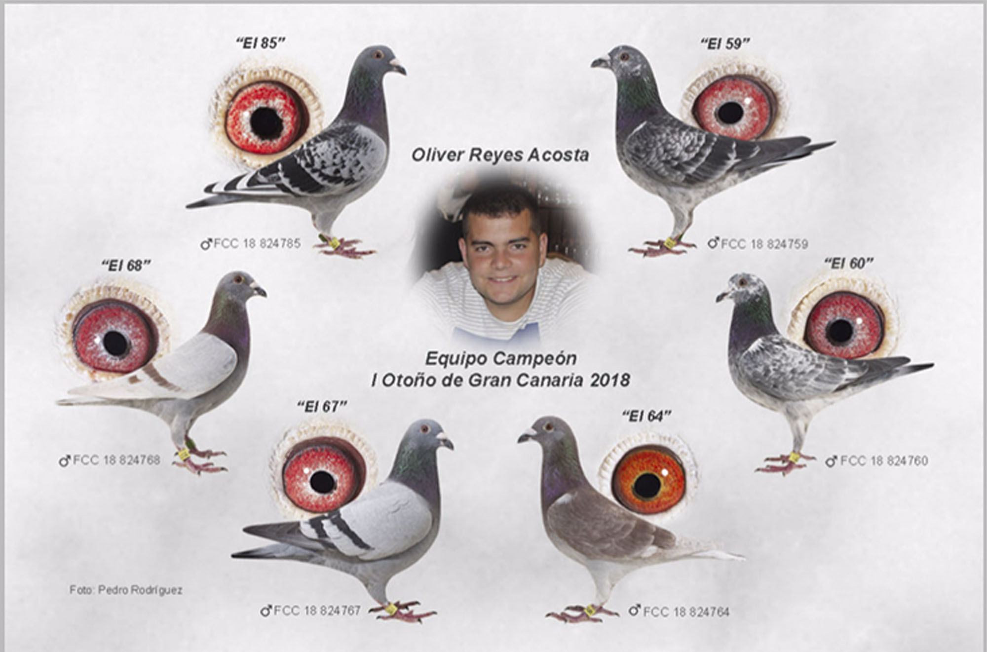 Oliver Reyes Acosta – Club Colombófilo Iniciativa Isleña